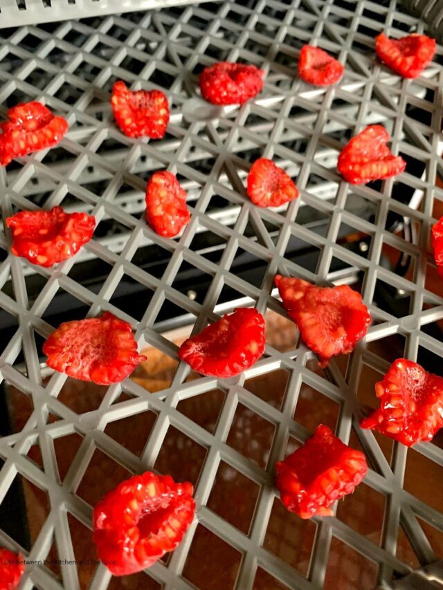 How to Make Dehydrated Raspberries – Life Between the Kitchen and the Coop